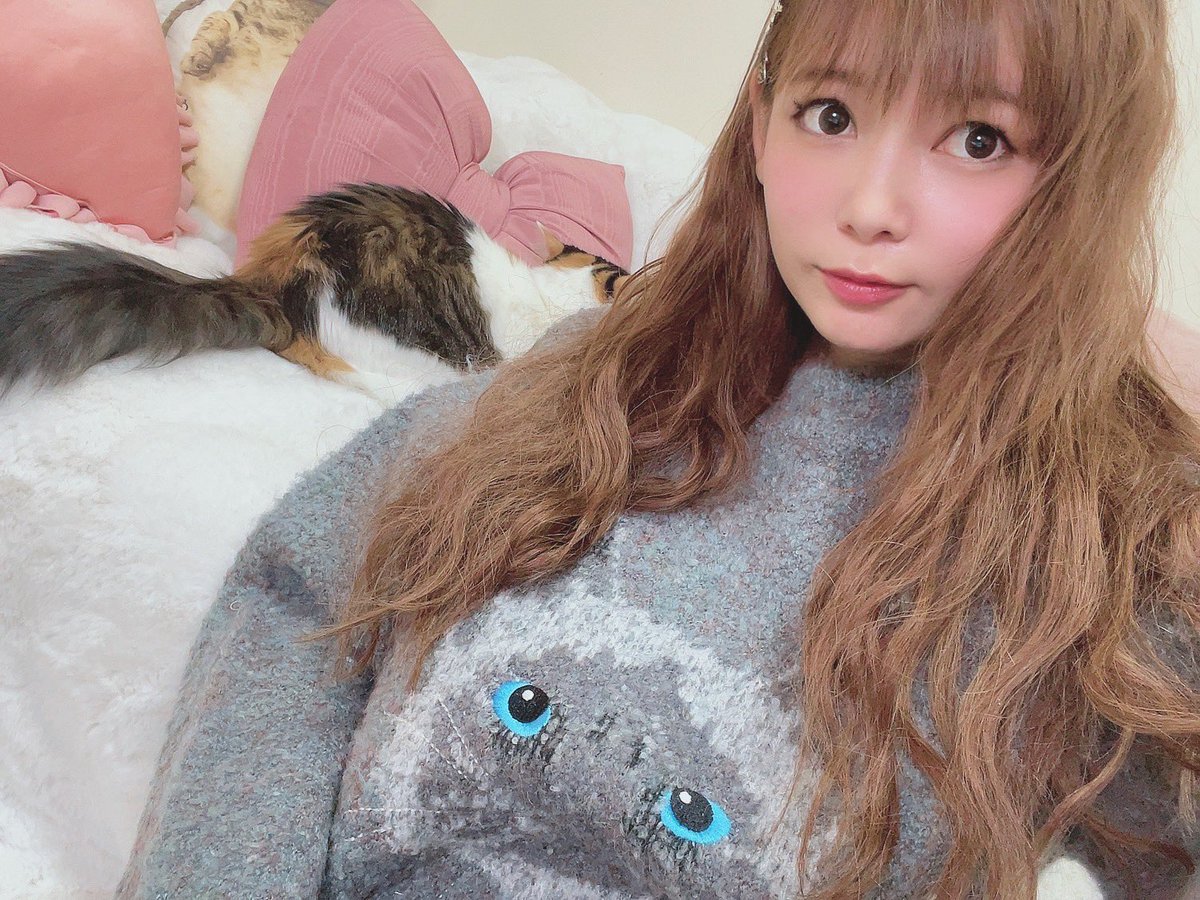 20周年の中川翔子🍒🍉🍫🍇🐈‍⬛🍣 on Twitter: "mmts CATフェイスニット https://beams.co.jp/item/mmts/tops/16150018438 ...