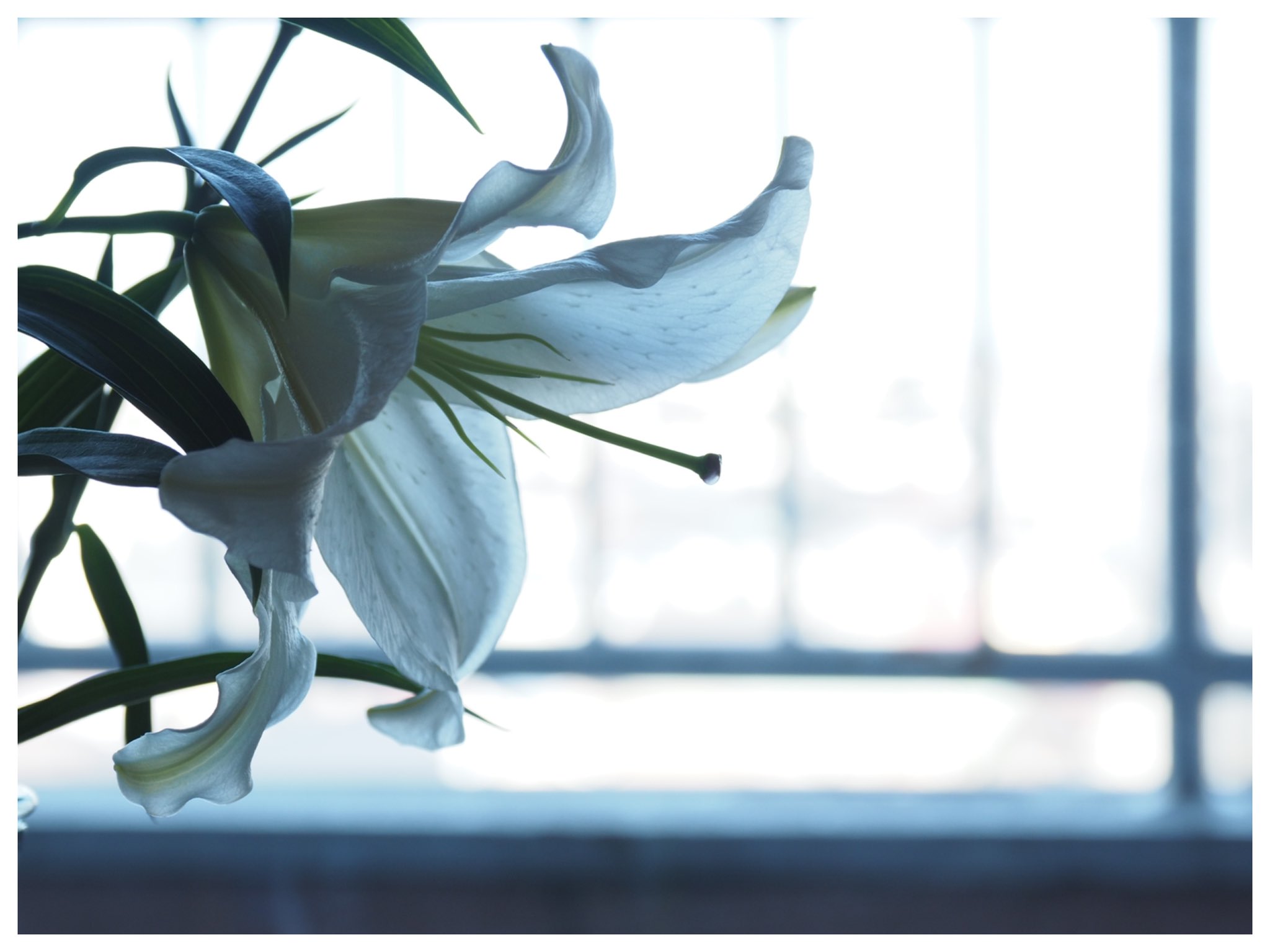 hiro on Twitter: "0:40 PM https://t.co/W5SQdXdl3O" / Twitter