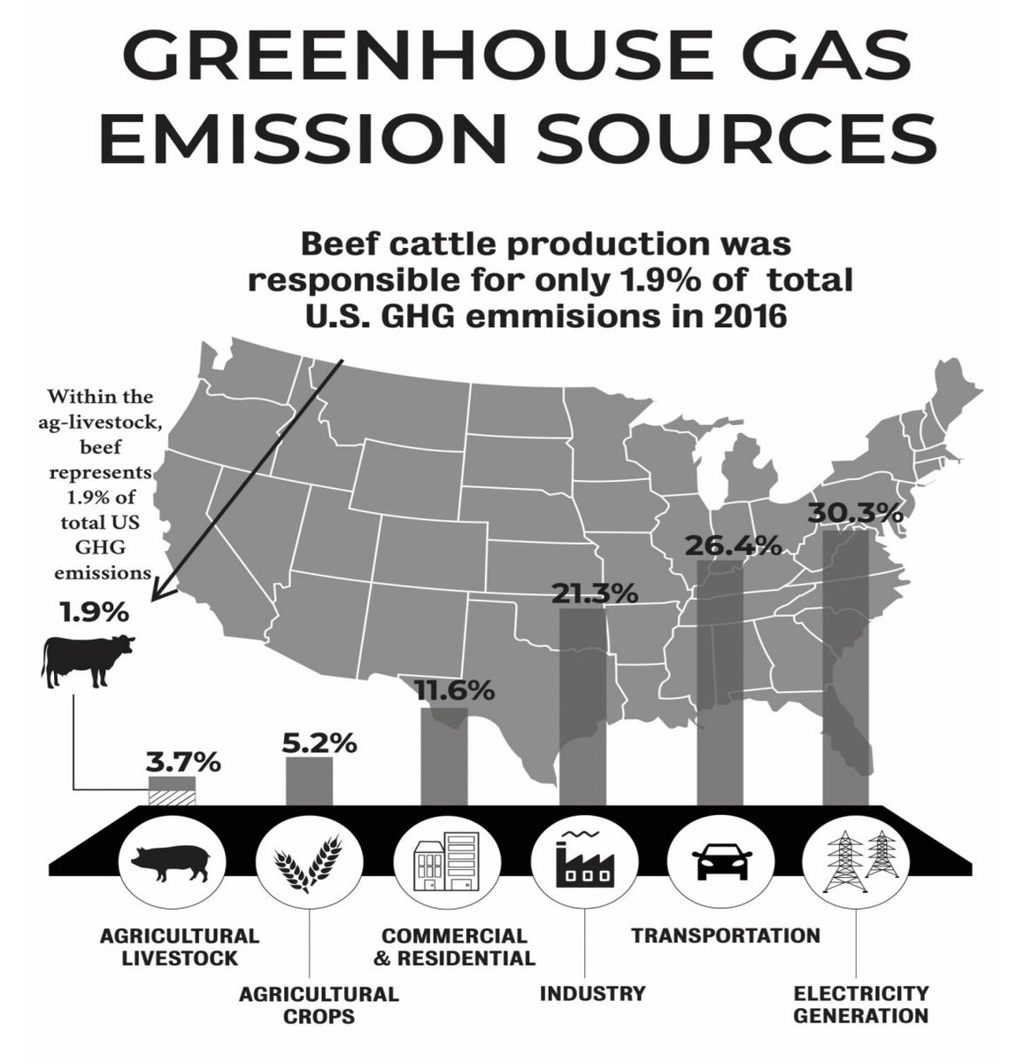 THE CARBON SCAM 🐄 💨 They always say Cow Farts destroy the planet Is ...