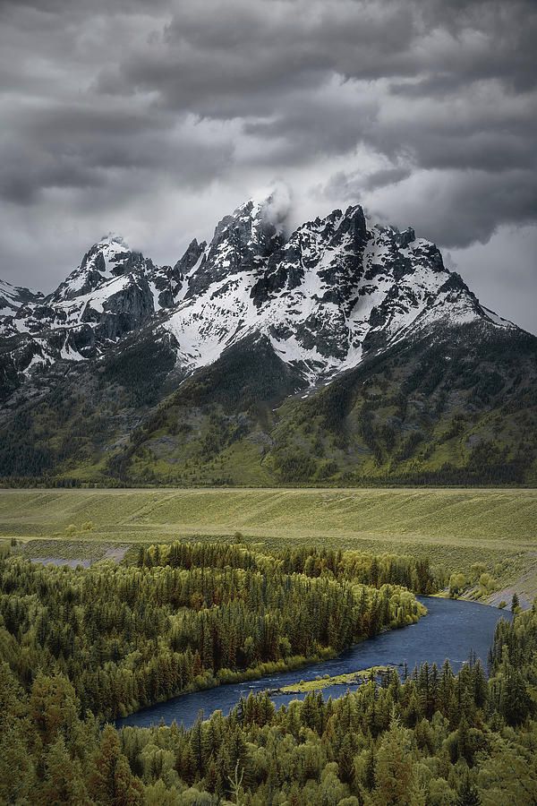 Art for the Eyes! https://t.co/WB4vN6ksE8 #artforsale #naturelovers # ...