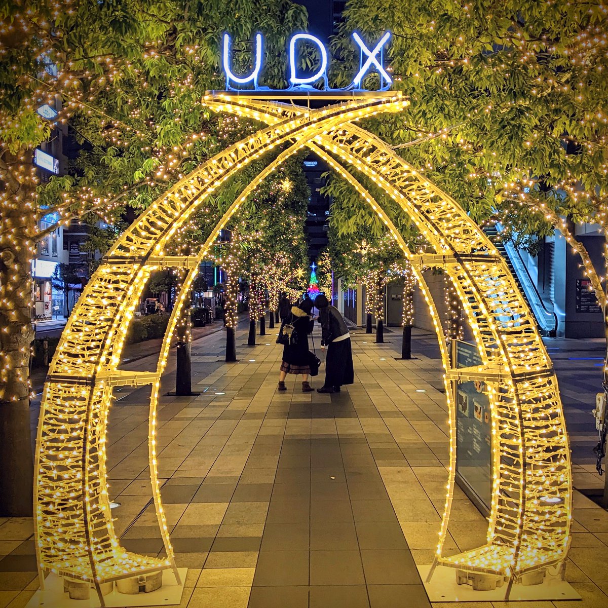 アキバ・インフォ on Twitter: "秋葉原の冬の風物詩『UDX Illumination 2022』。今年のテーマは「WISH UPON A STAR(星に願いを)」です https ...