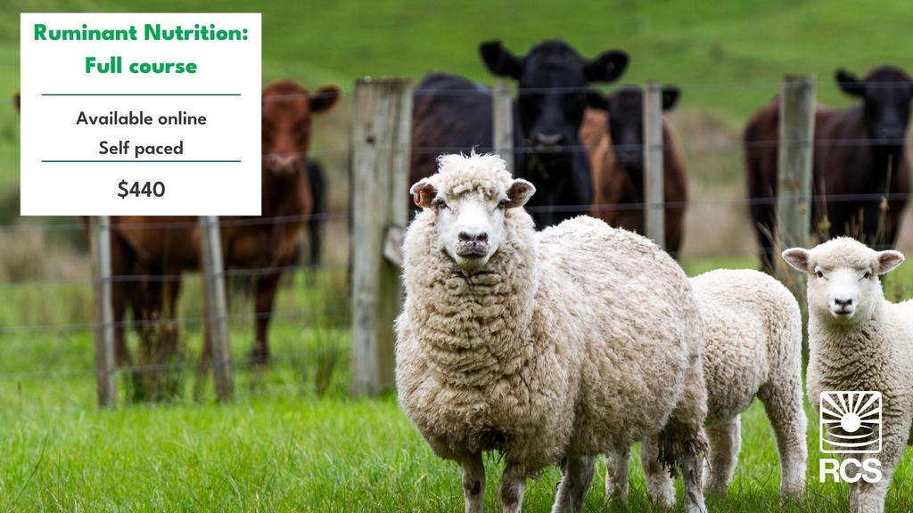 Regenerative Grazing Principles | RCS Australia