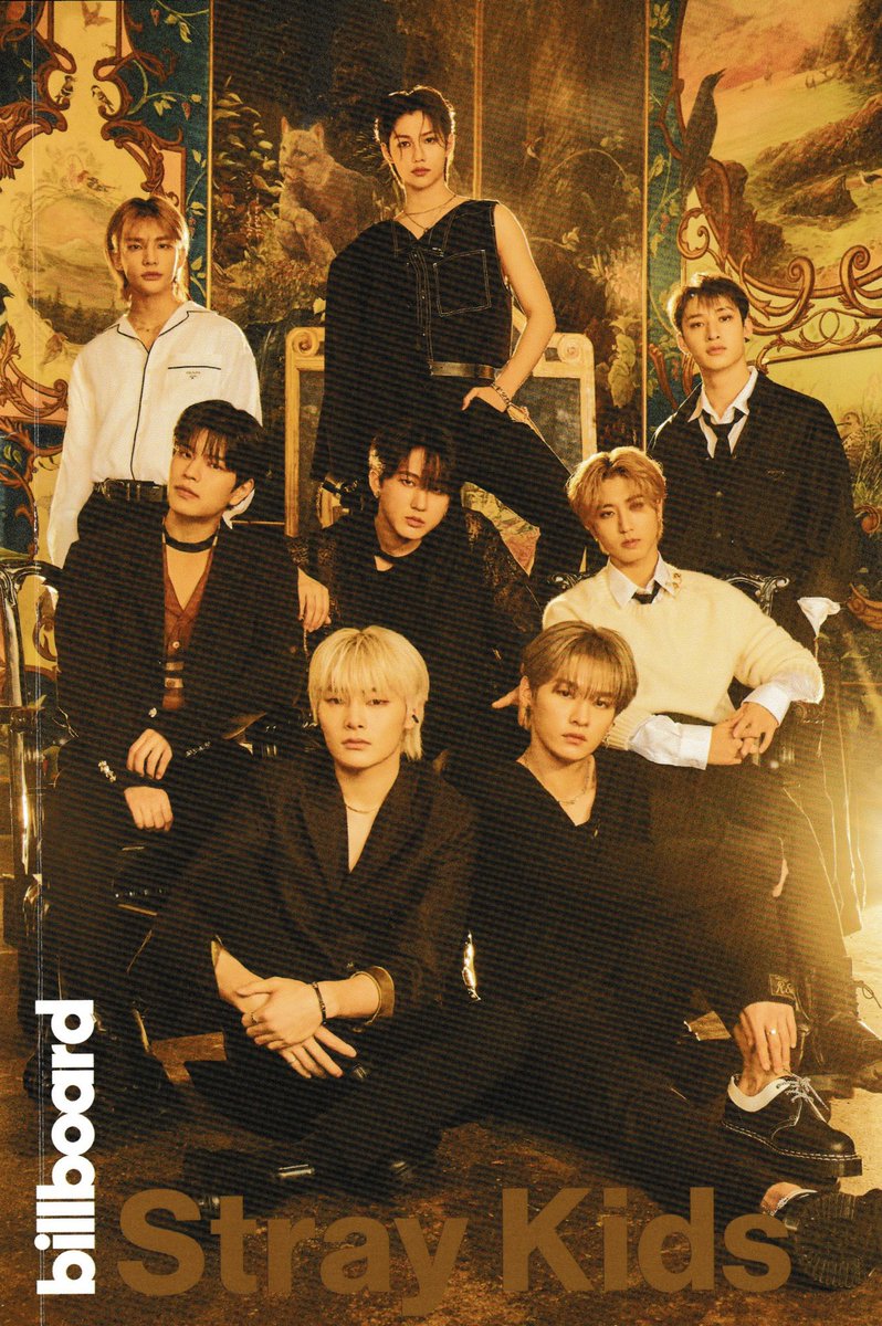 STRAY KIDS LATAM PROJECT 💗 on Twitter: "RT @skzlatamproject: Stray Kids para una portada de ...