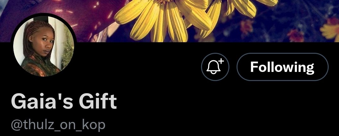 Musa🇿🇦 on Twitter: "@thulz_on_kop @tlotlival @_LeratoMabuza Thulz there's no DM option why https ...