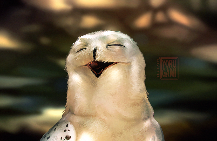 Yorugami 🎄 on Twitter: Yorugami 🎄 on Twitter: