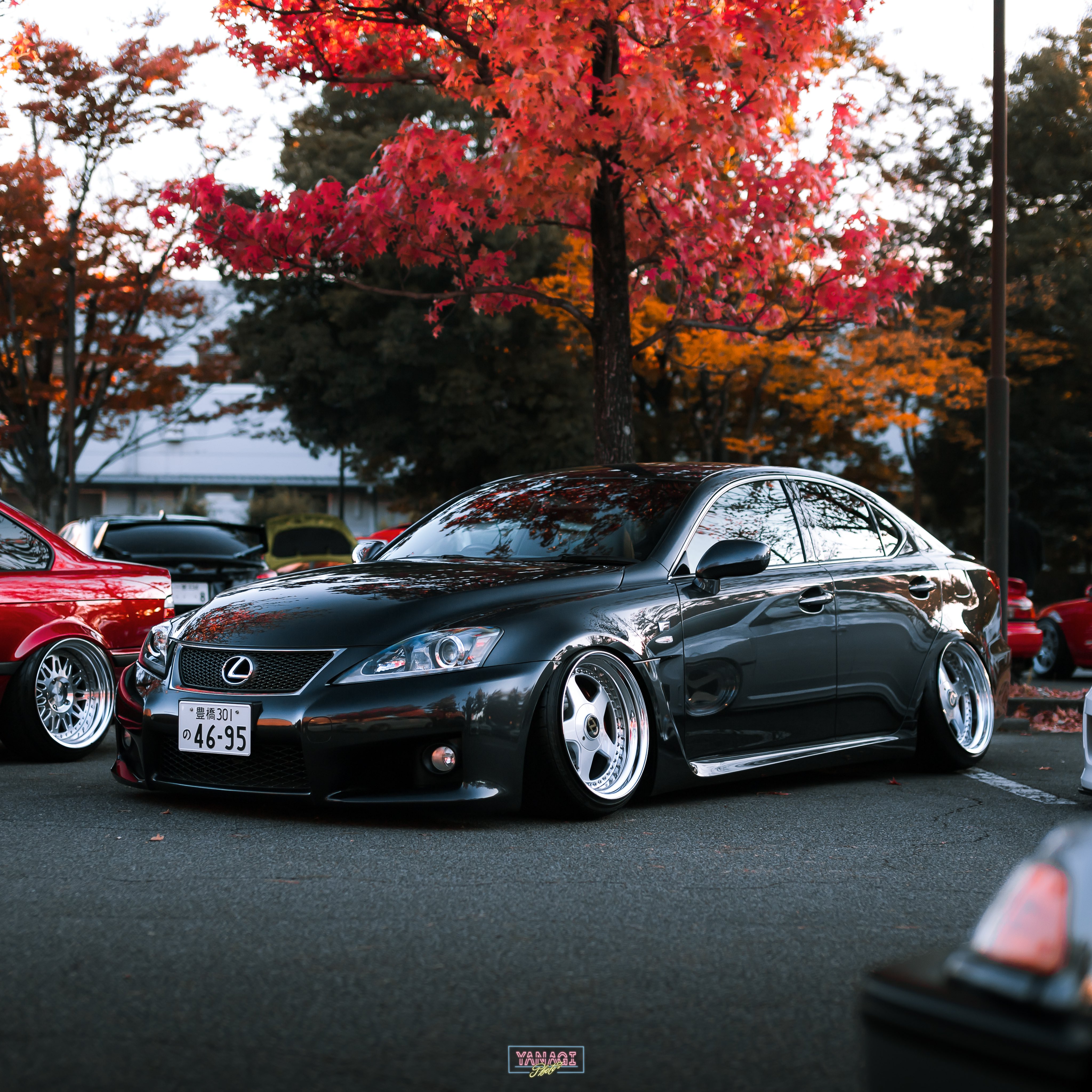 やなぎ🐺🎀KAWAII FITMENT. on Twitter: "#fixwell https://t.co/Ag78zTu6WV" / Twitter