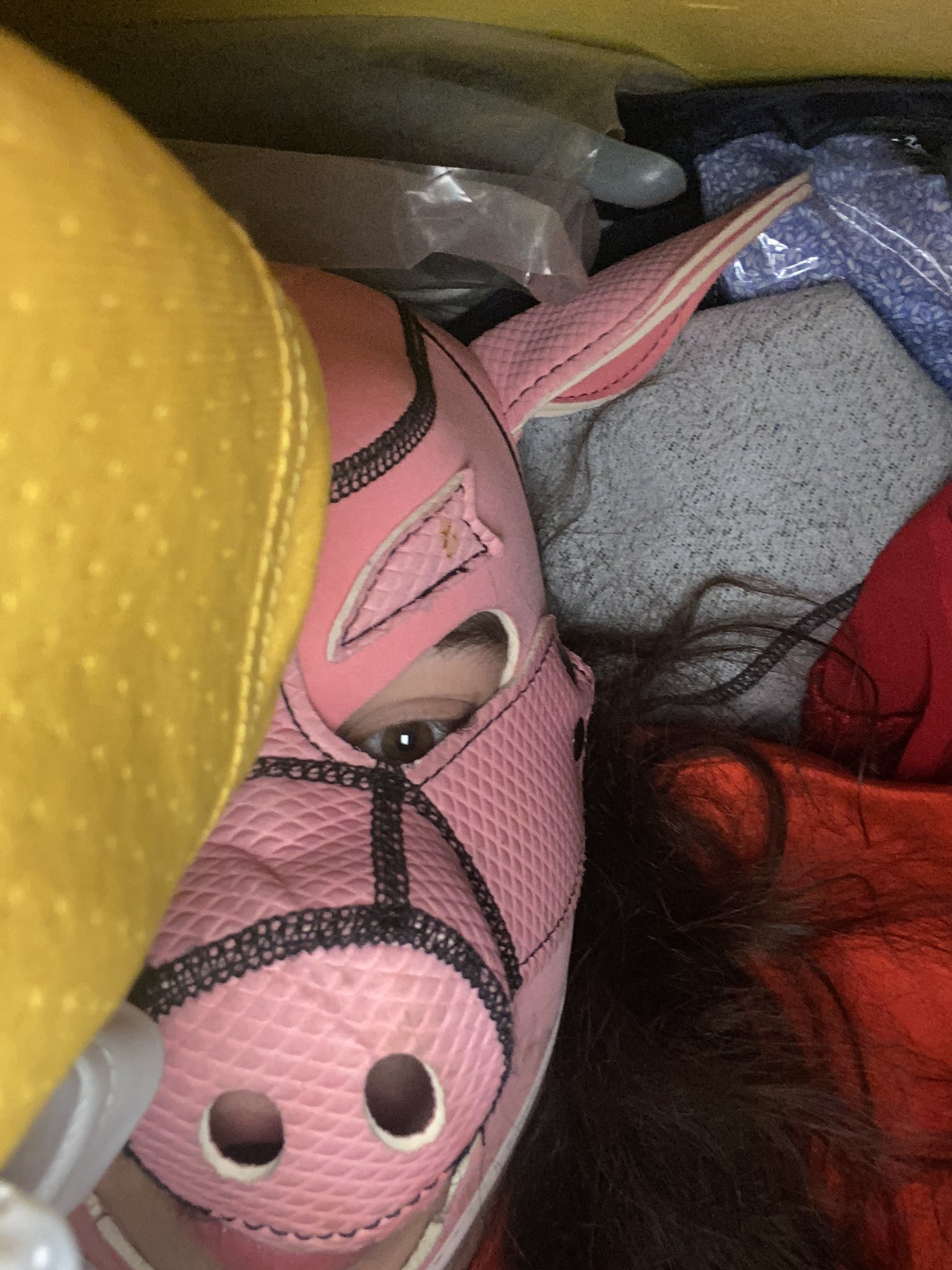 💕 Mistress sissy Lexxi 💕 🔞 on Twitter: "I’m considering making @NSFWFreyja ‘s pig status ...