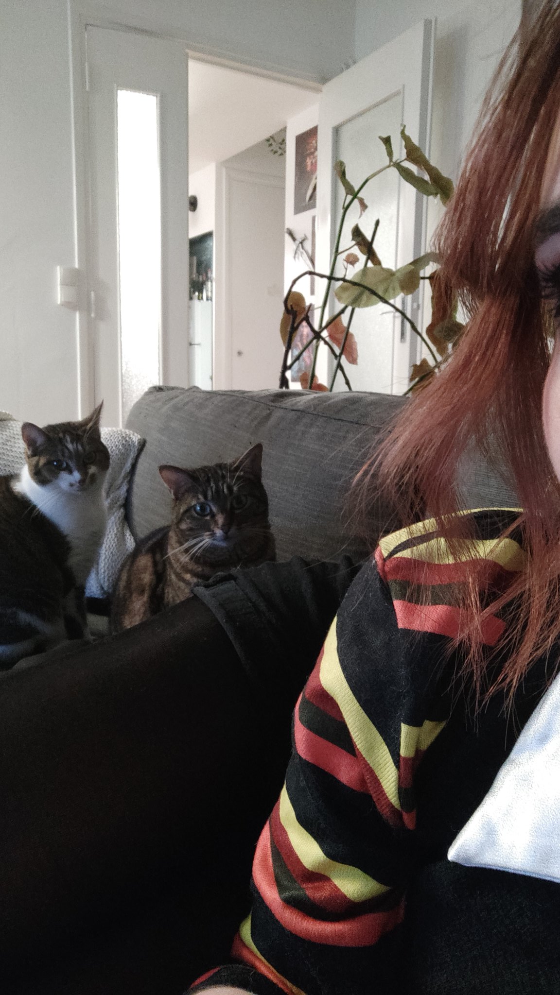 Mads on Twitter: "@starleighcos Maya and Amara aka Crusty & Stinky https://t.co/2EKInbWzmP ...