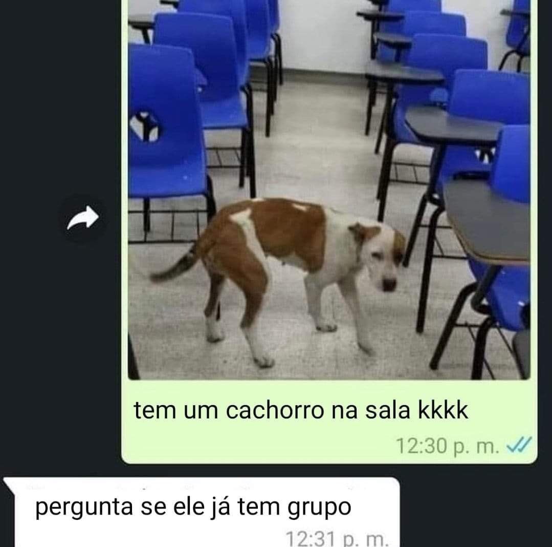 Shitpost só que de verdade on Twitter: "https://t.co/YWm8w7os9F" / Twitter