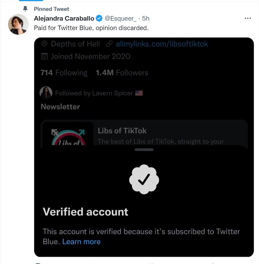 Libs of TikTok on Twitter: "My opinion is so irrelevant that I'm now the pinned tweet on ...