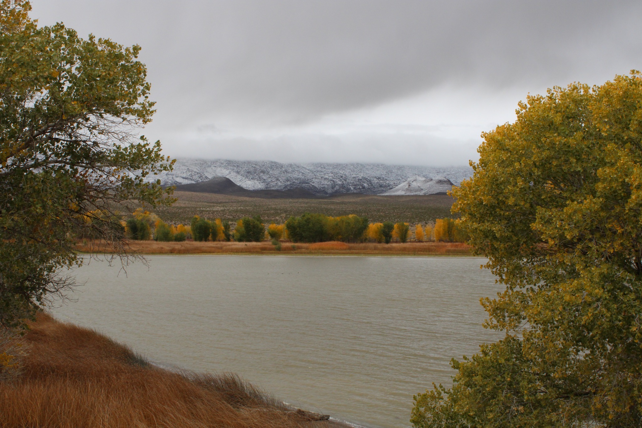U.S. Fish and Wildlife Service on Twitter: U.S. Fish and Wildlife Service on Twitter: