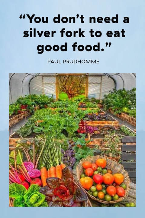 Organic Live Food On Twitter Rt Organiclivefood Dont Dig Your Own