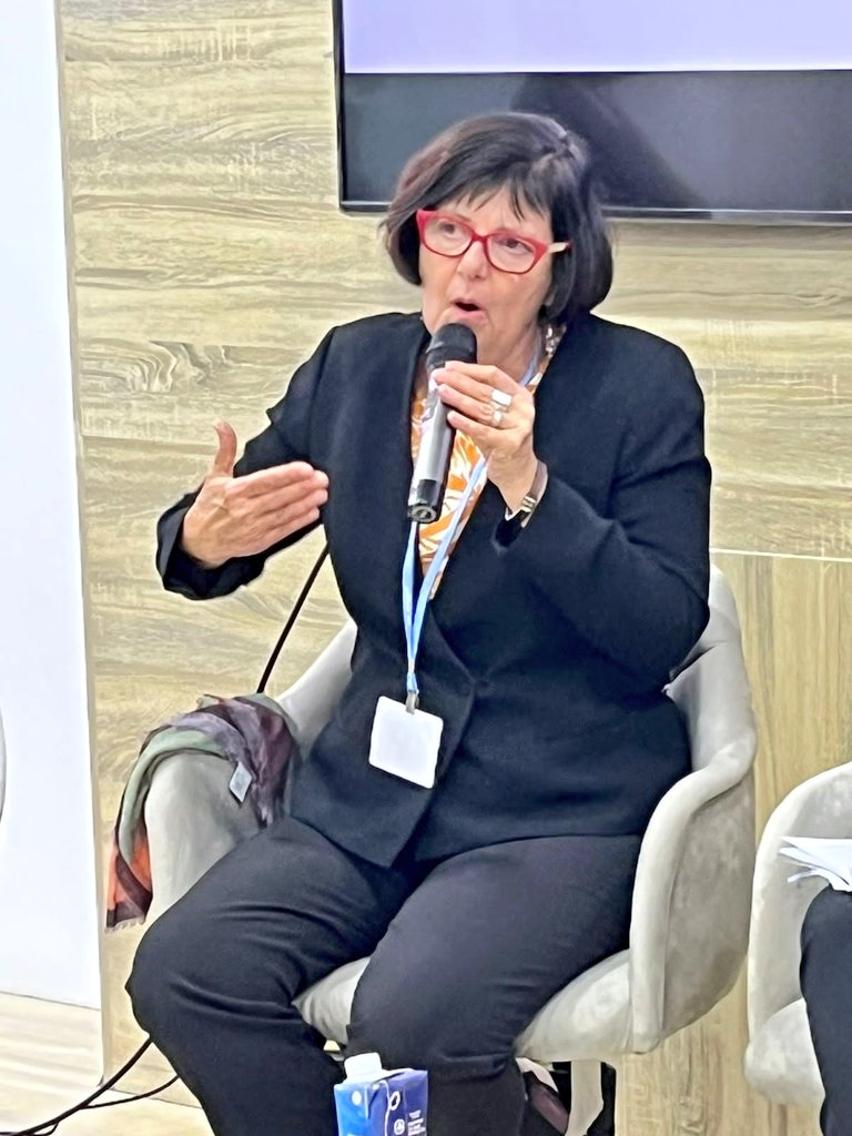 Environmentza on Twitter: "Minister Creecy spoke at the @AngloAmericanZA side event at #COP27 at ...