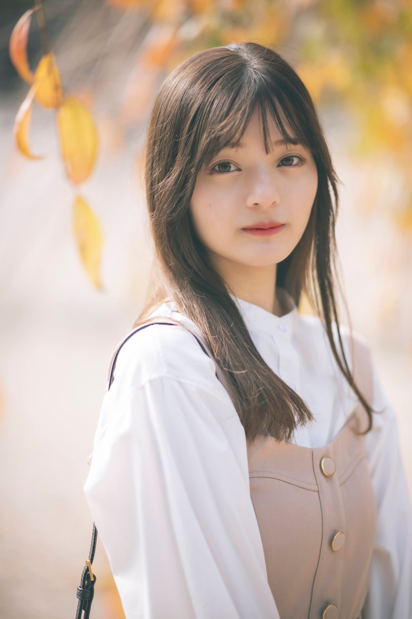 ほの@TIARA撮影会 on Twitter: "11月の空きは26日 新宿三丁目・御苑周辺での撮影会 の午後2枠のみです🥺🤍 綺麗な紅葉がとても楽しみです🍁⠜お時間合う方ぜひよろしくおねがい ...