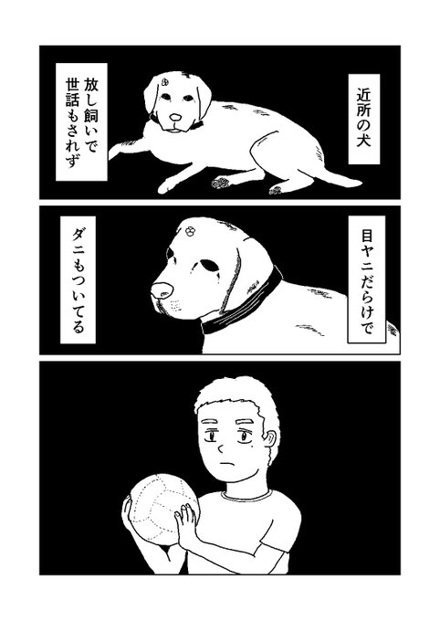過去と現在、加害と被害が交錯する「汚い犬」 (1/4) | 秘密ちゃん㊙コミティア142西2「Q01a」 さんのマンガ | ツイコミ(仮)