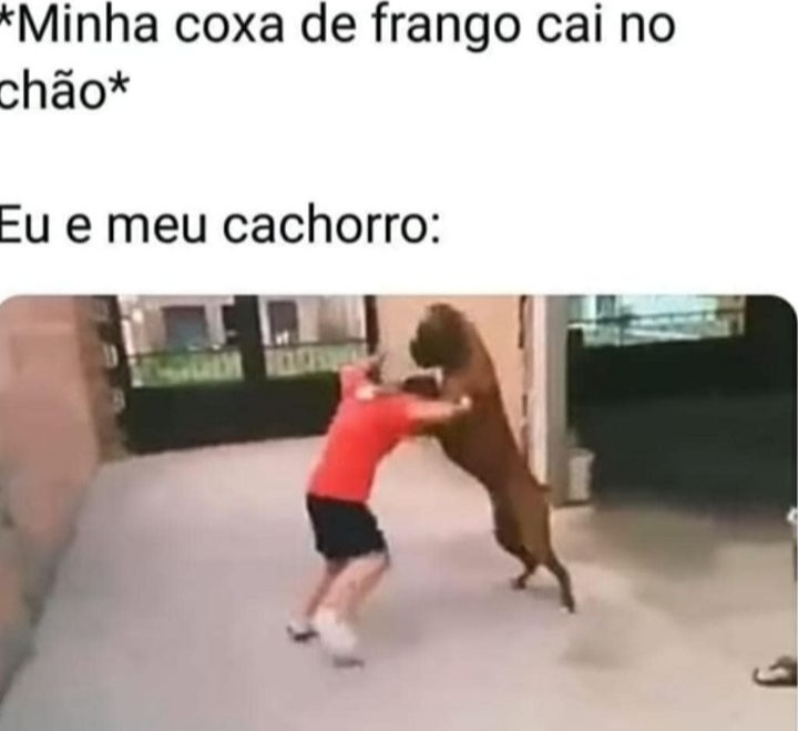 Meme Burros Ou Nada Inteligente On Twitter