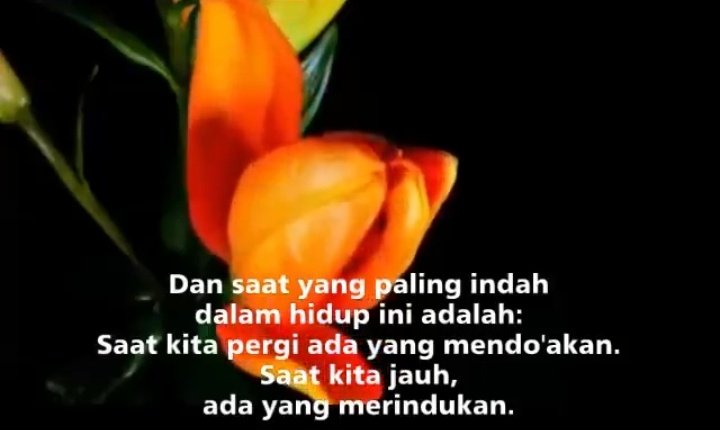 ITS Fess | NO KIRIM LINK🚫 on Twitter: ITS Fess | NO KIRIM LINK🚫 on Twitter: