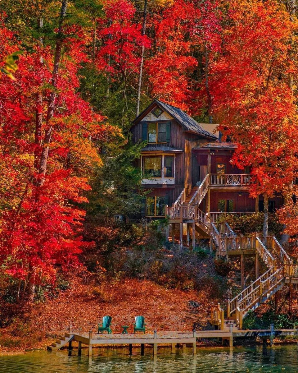 GENARD Frédéric @fredericgenard