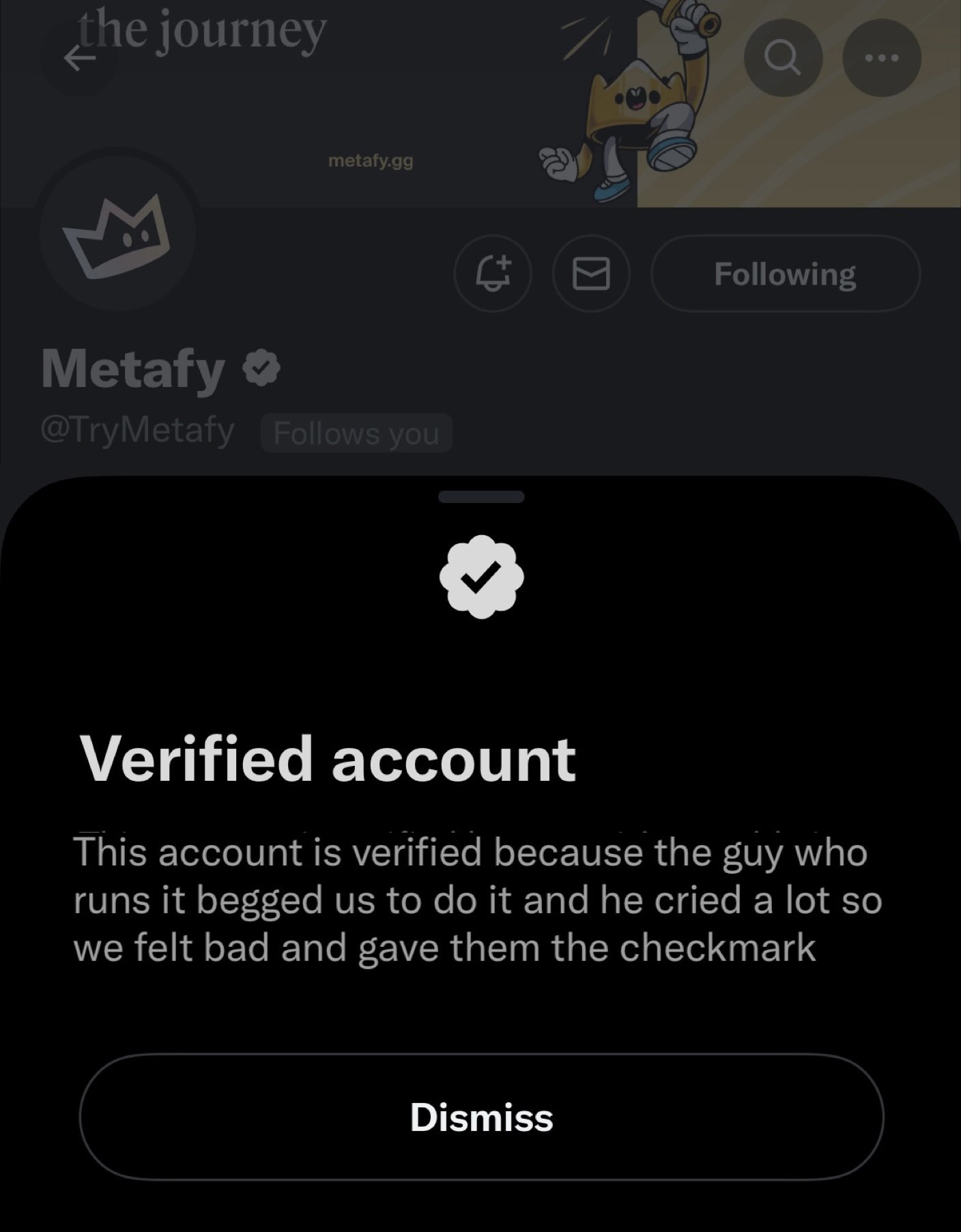 Metafy (@TryMetafy) / Twitter Metafy (@TryMetafy) / Twitter