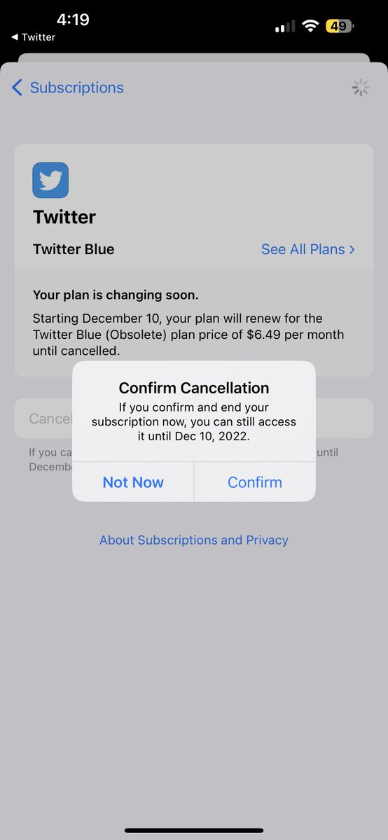 Shevon Salmon on Twitter: "I really just used Twitter Blue for the purple Twitter app icon and ...