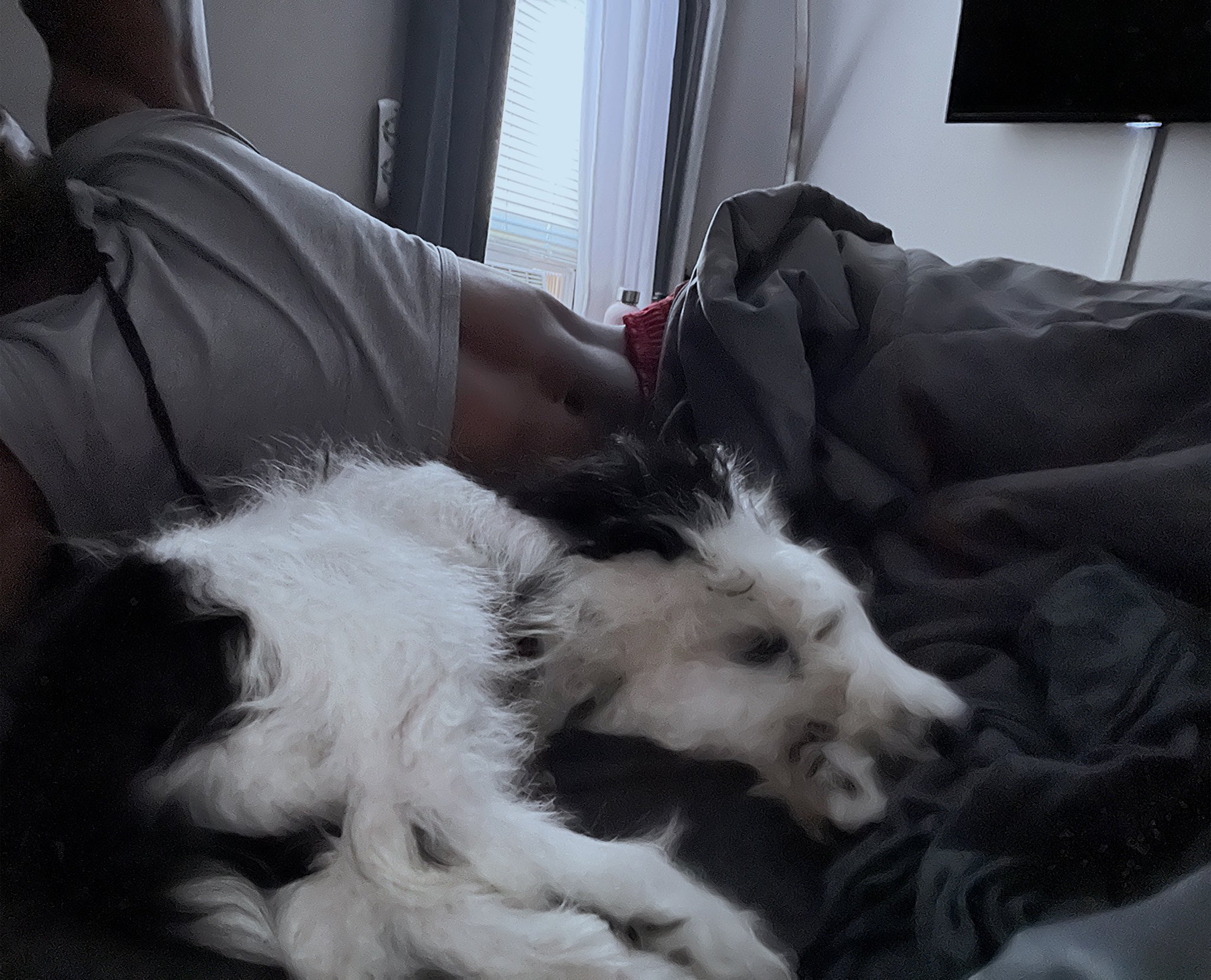 Max Konnor on Twitter: "@IAmTabuu He’s right up under daddy 😂😂 https ...