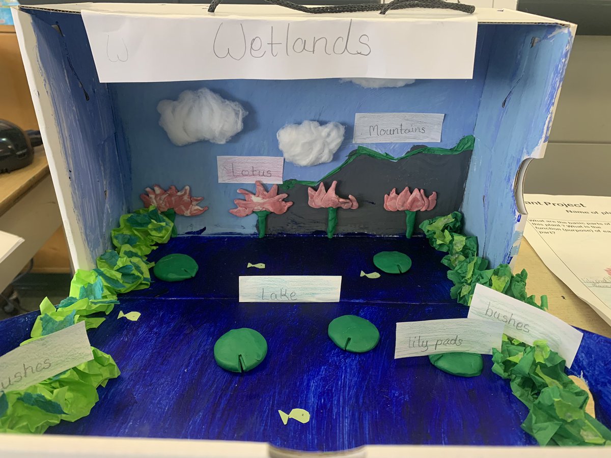 Water Cycle 3d Project 4th Grade