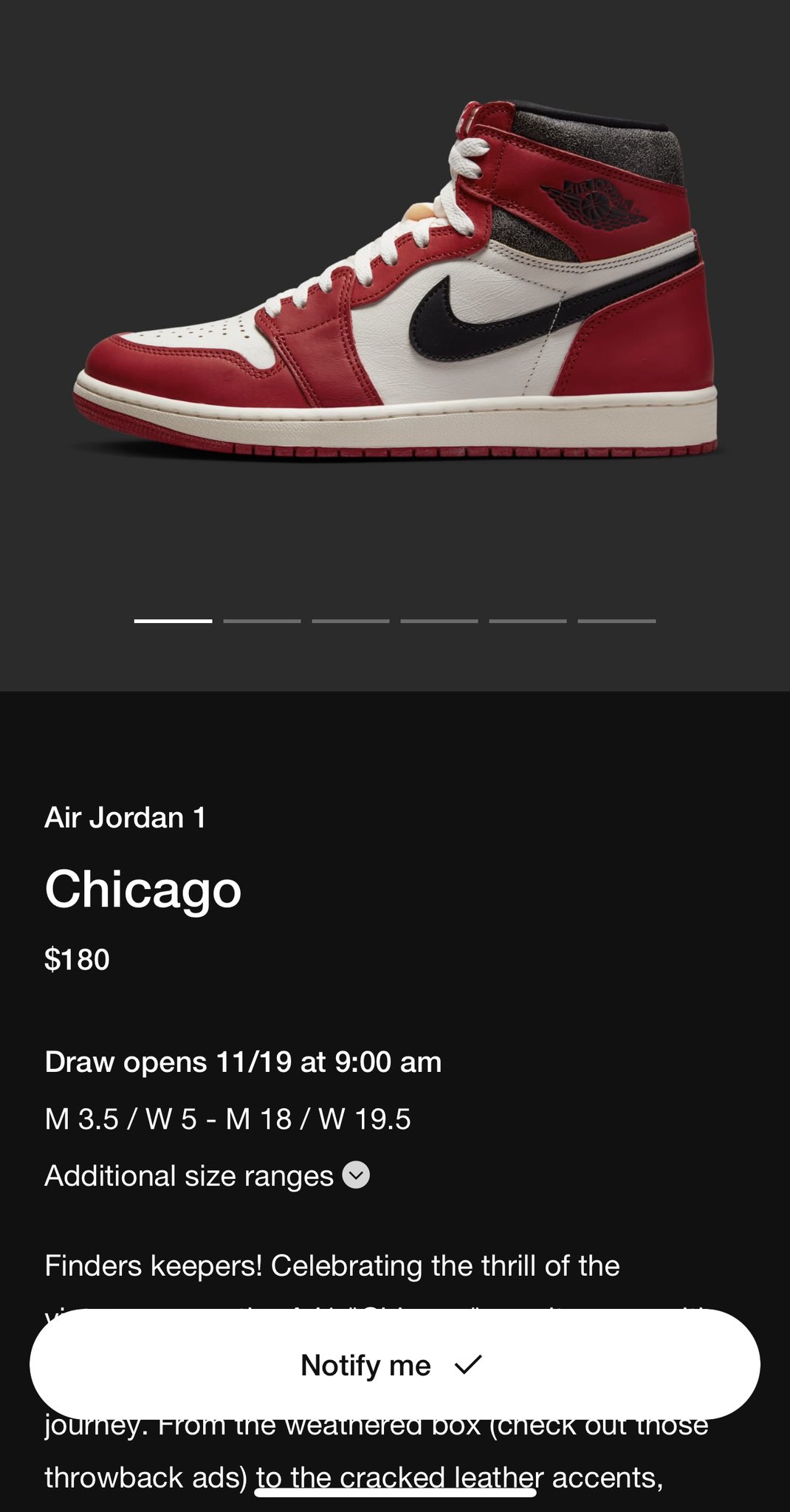 Secure Check Nikestore