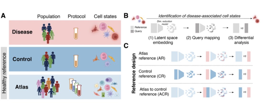 Mo Lotfollahi on Twitter: "single-cell reference mapping (see bellow) allows identification of ...