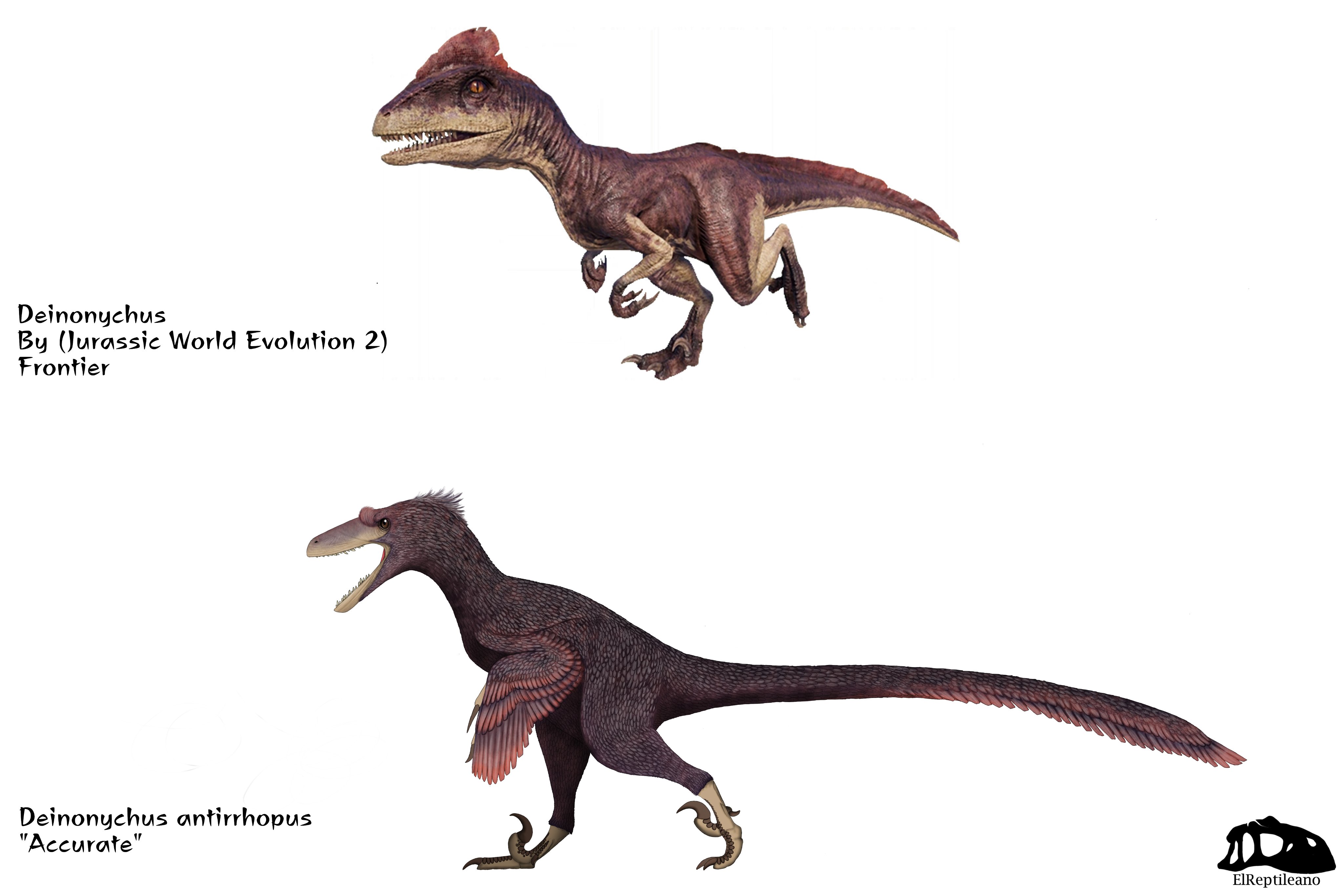 Deinonychus Vs Tyrannosaurus Deinonychus Vs Tyrannosaurus