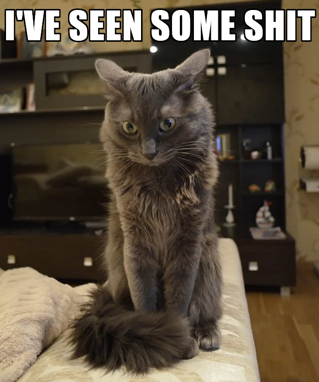 zonia 🍋 on Twitter: "Me after watching Destiny's "I'm Nuclear" VOD https://t.co/sb4C85VIfX ...