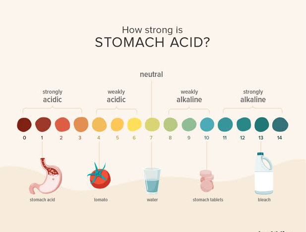 Have you been struggling with peptic ulcers without any real solution ...