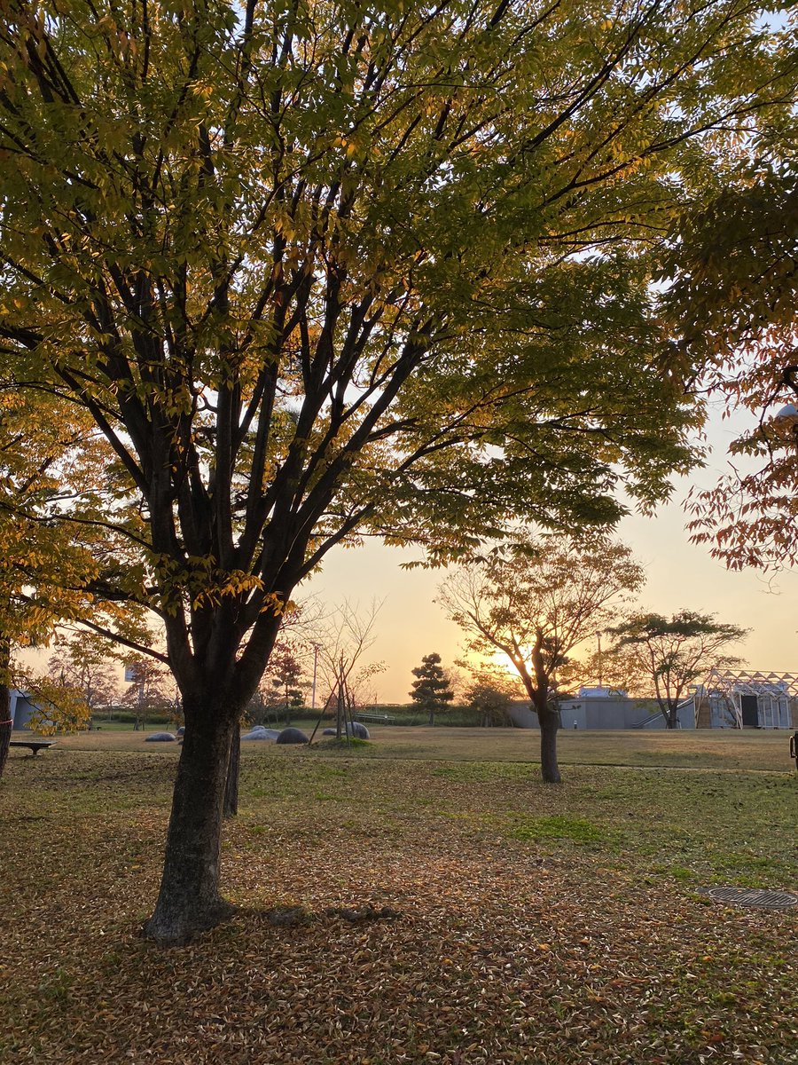 MOROHASHI Kyosuke(@moro) - Twilog (ツイログ)