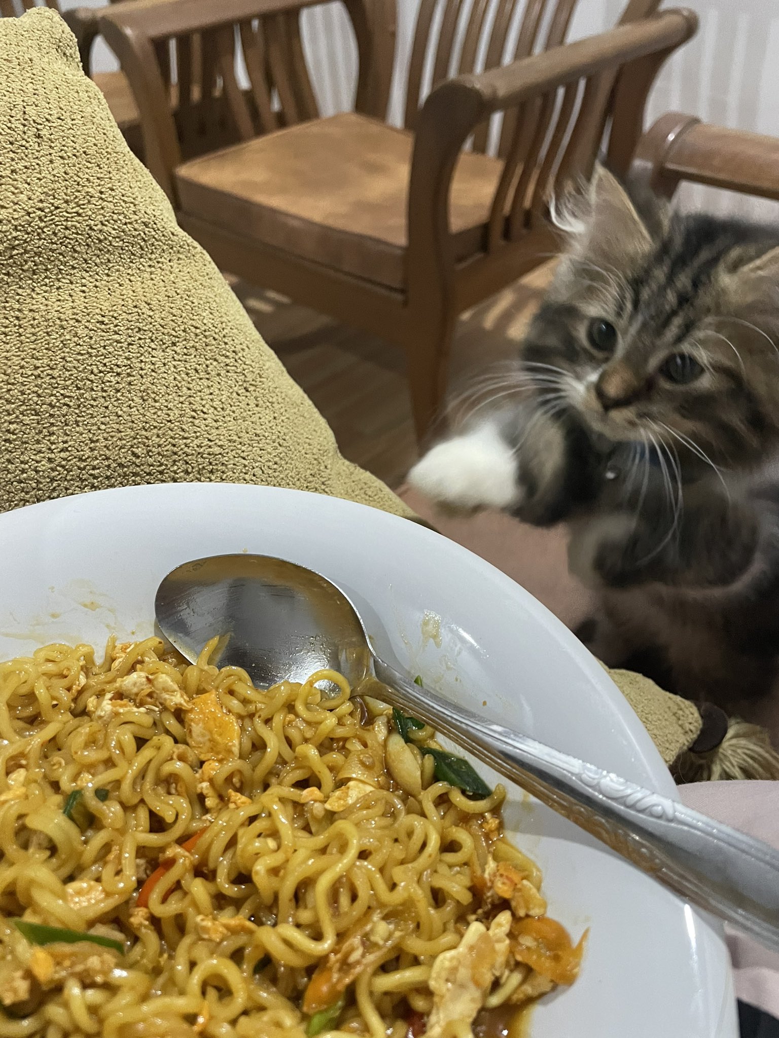 nal open cc/lc 19-20 DES Avail Jaksel Simatupang🐼 (@callmenall_) / Twitter