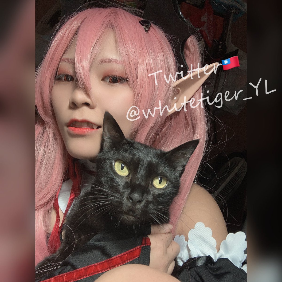 小巴ฅ•ω•ฅ On Twitter 這幾年發生了好多事 好多陪伴我好久的寵物都當天使了 照片上的貓貓也是 老實說 被外流我沒有生氣 只是很難過而已 相信每一個都是會尊重善良的人 從以前