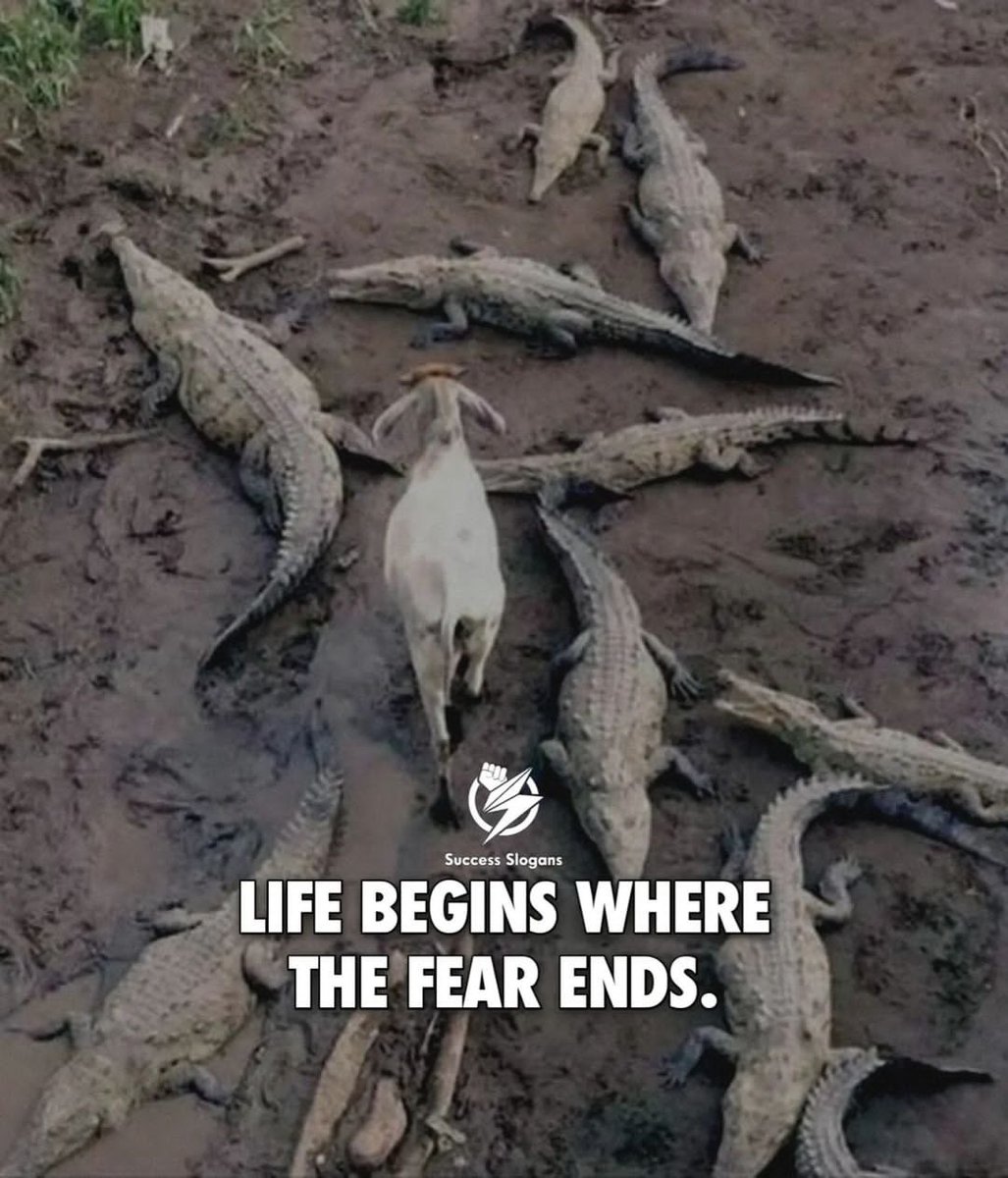 10 Harsh Truths About Psychology & Life: 1. - المسلسل من Wisdom For ...