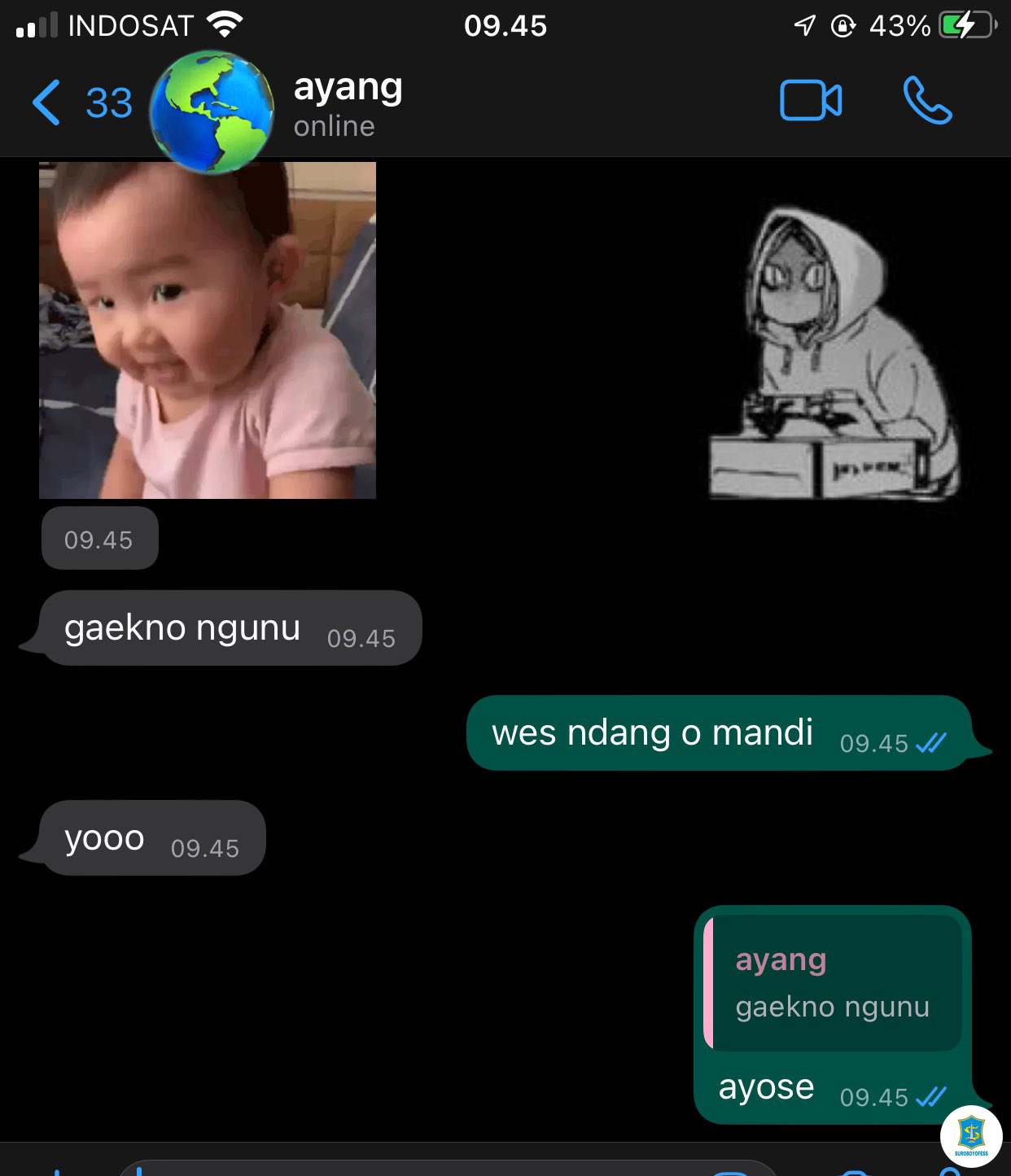 🦈 SUROBOYOFESS 🐊 on Twitter: "ayangmu yo ngene ta -rek? https://t.co/wYKq5HKw0T" / Twitter