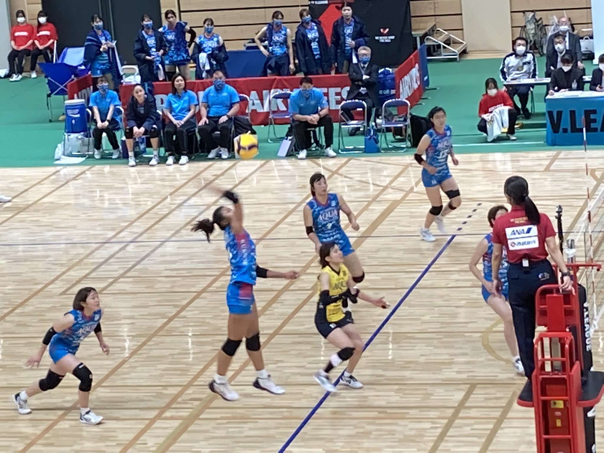 KUROBEアクアフェアリーズ【公式】 on Twitter: "🌟Vリーグ札幌大会11/12（土）🌟 🆚デンソーエアリービーズ🐝 ①22-25 ②16-25 ③25-23⭐️ 3セット目取り ...
