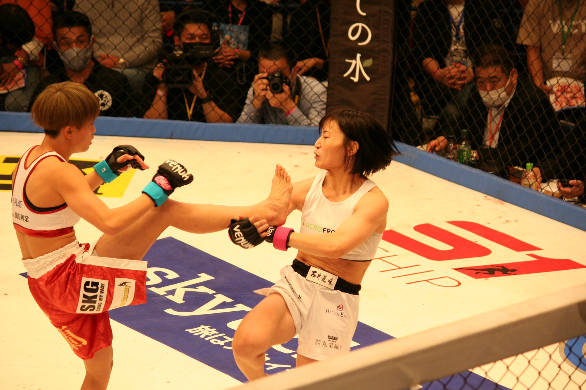 THE 1 TV on Twitter: "DEEP 110 IMPACT速報 第7試合 DEEP女子ミクロ級タイトルマッチ 5分3R 大島沙緒里 vs ×古瀬美月 1R アームロック ...