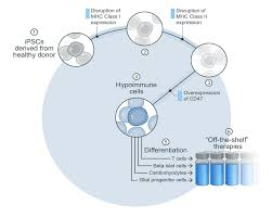 An Intro to #iPSC manufacturing This will look into how iPSC works ...