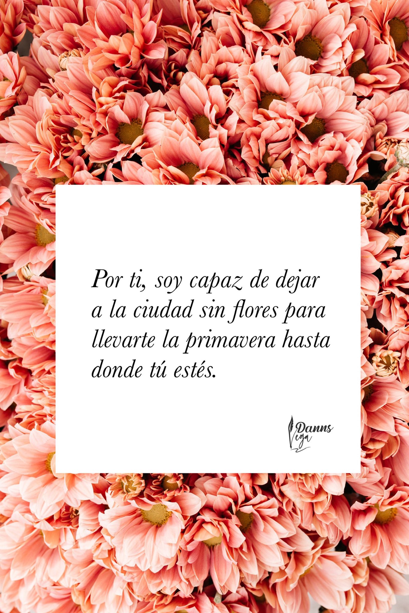 Tumblr Flowers Quotes Spanish
