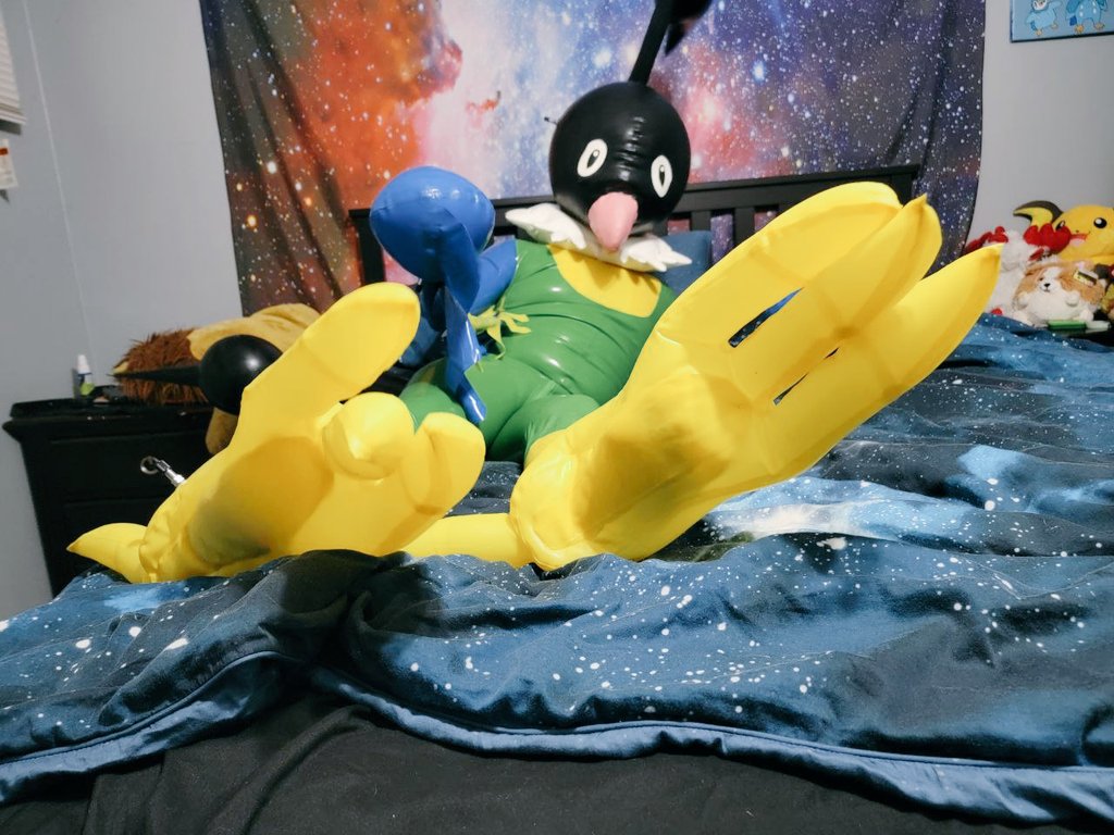 Nibbles 🐭 on Twitter: "Forte has big bird feet. 🐦 #squeakysaturday https://t.co/6paRtSkOYZ ...