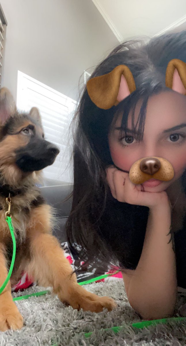 amber(@mimsy ):baby kiba