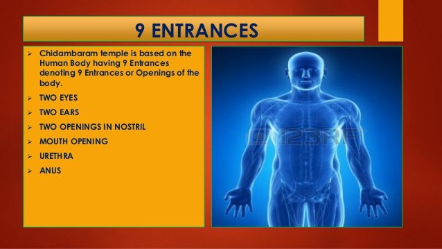 Navigating the City of NINE Gates (🧵) There is a Vedic Story wherein ...