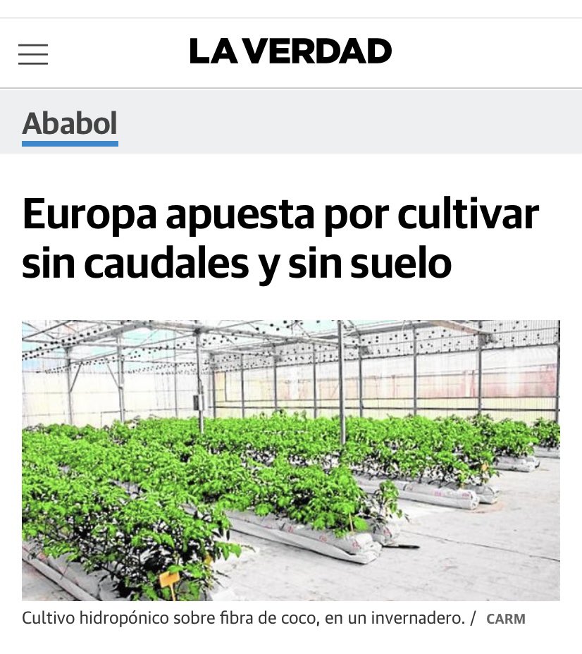 María Soledad on Twitter: María Soledad on Twitter:
