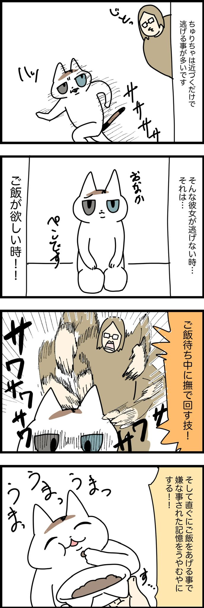 【猫漫画】ねことおら (@ririca_neko) さんのイラスト・マンガ作品まとめ (22 件) - Twoucan