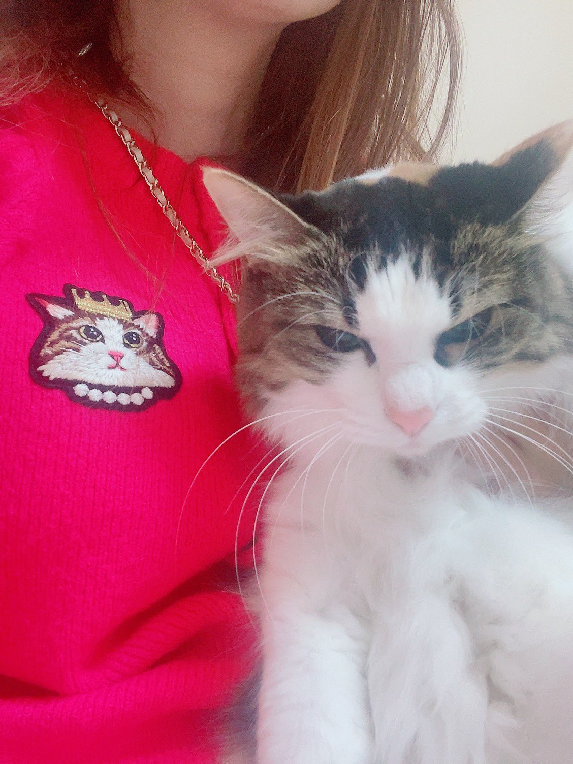 20周年の中川翔子🍒🍉🍫🍇🐈‍⬛🍣 on Twitter: "mmts ボリューム袖カーディガン ピンクちゃん！せっかくかわいい刺繍といっしょなのにカメラ嫌いすぎる！ https://t.co ...