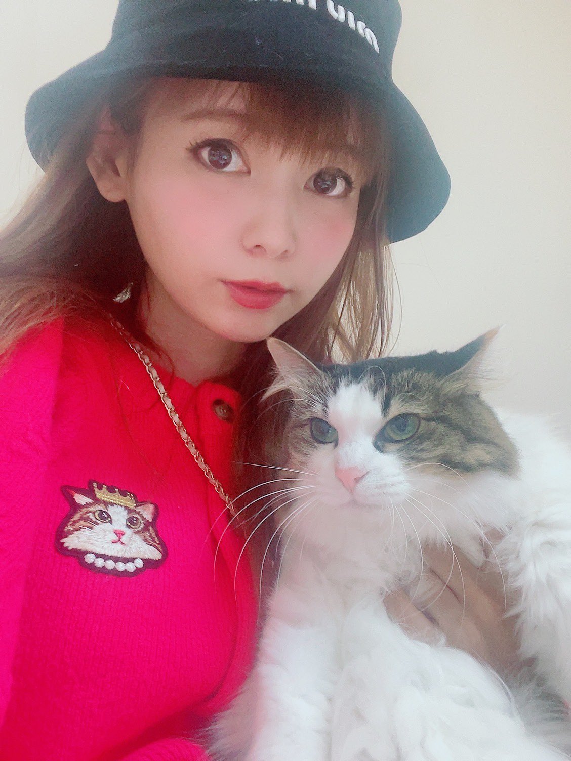 20周年の中川翔子🍒🍉🍫🍇🐈‍⬛🍣 on Twitter: "mmts ボリューム袖カーディガン ピンクちゃん！せっかくかわいい刺繍といっしょなのにカメラ嫌いすぎる！ https://t.co ...