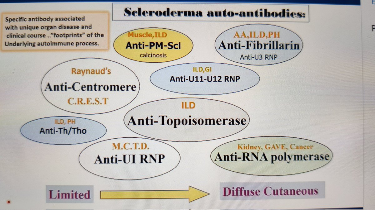 Philip S Hench memorial lecture: Scleroderma 2022 by Prof Fredrick ...