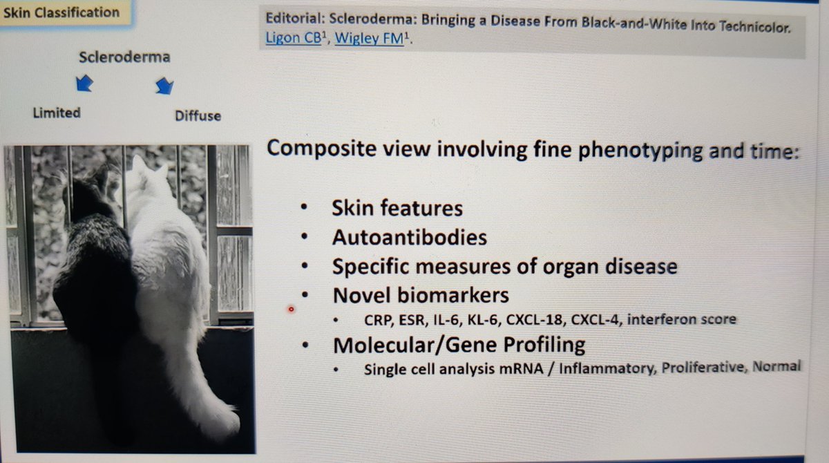 Philip S Hench memorial lecture: Scleroderma 2022 by Prof Fredrick ...