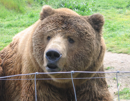 Thunder Bear on Twitter: "@SinhaSaumya7 @gganeshhh Huh https://t.co/InwuR8SoRy https://t.co ...